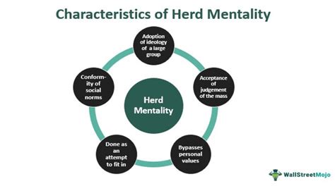 Herd Mentality Definition Examples Impact How To Overcome
