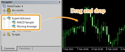 Use Expert Advisor Ea Metatrader45 User Guide Myforex™