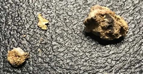 How To Interpret Metal Detector Signals Tvmdc