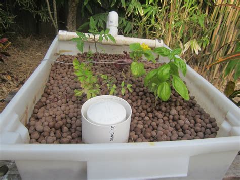 Simple Arduino Controlled Aquaponic System 8 Steps Instructables