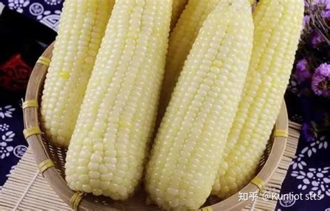 浅谈中国玉米 知乎