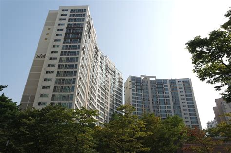 풍동월세 고양시 일산동구 풍동숲속6단지두산위브 5 월세5000만200만원 조정가능인테리어잘된집전망좋고깨끗합니다 풍동6단지월세 풍동6단지 숲속6단지 풍동부동산 풍동