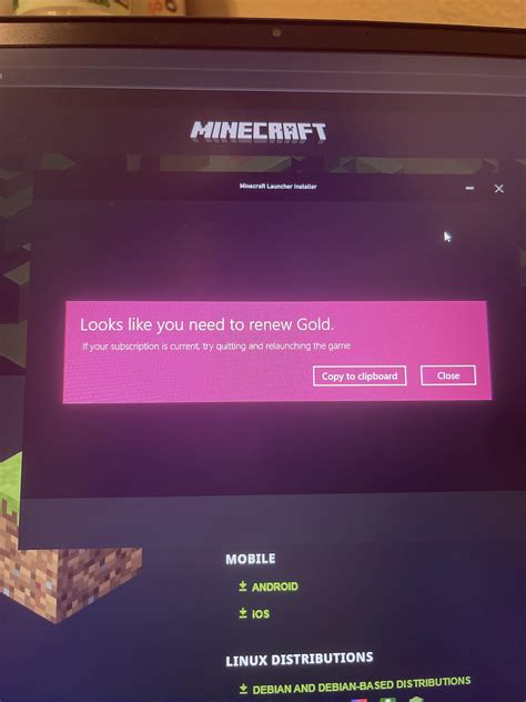 Cant Play The Game Ive Tried Restarting And Updating Cpu Deleting And Redownloading Mc From