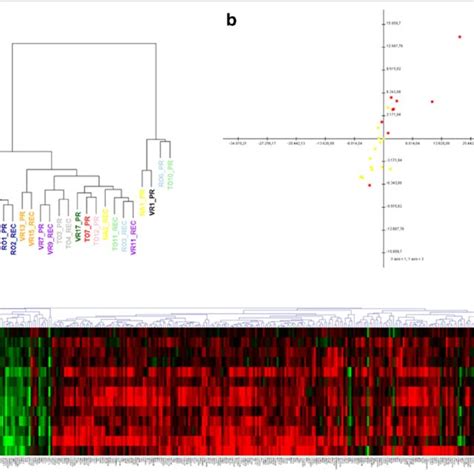 A Dendrogram Obtained From Unsupervised Hierarchical Clustering Using