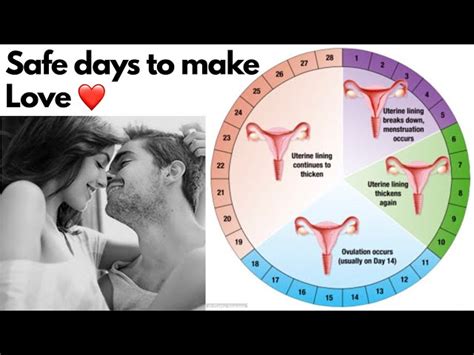 Menstrual Cycle Pregnancy Safe Period