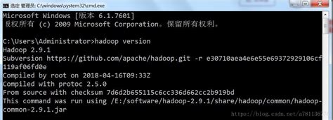 windows下hadoop 2 9 1的伪分布式安装 hadoop2 9 windows文件 csdn博客