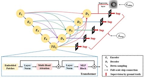 the proposed lv segmentation model is based on an encoder decoder