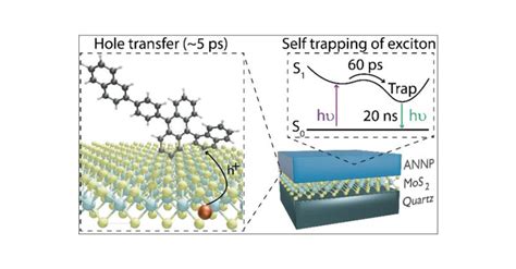 School Of Chemistry Unsw On Linkedin Exciton Dissociation Charge Transfer And Exciton