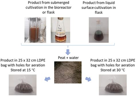 Impact Of Growth Conditions On The Viability Of Trichoderma Asperellum