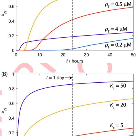 Schematics Of The Two Assembly Pathway Models A Nucleation And