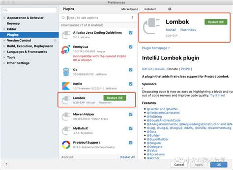 解决idea2020 1版本的lombok插件问题 csdn博客