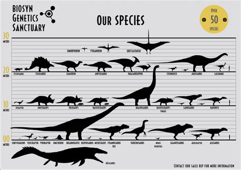 Jurassic World Dominion Size Chart