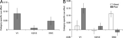 A Neural Basis For Real World Visual Search In Human Occipitotemporal Cortex Pnas