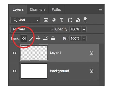 Brush Tool Not Drawing Adobe Product Community 10173343