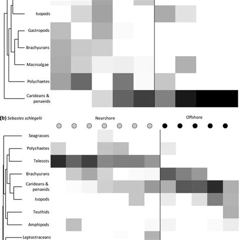 Nmds Ordination Plots Derived From Braycurtis Resemblances Matrices