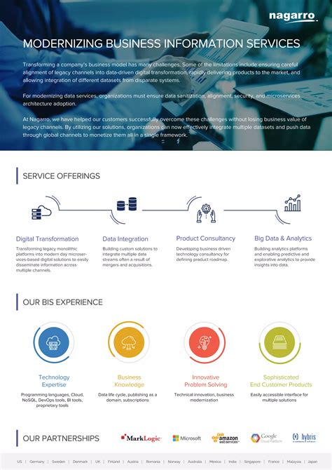 Modernizing Business Information Services Pdf