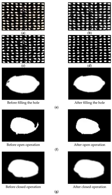 Agriculture Free Full Text Wheat Seed Phenotype Detection Device