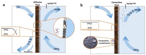 Processes Free Full Text Electroreduction Of Co2 Toward High
