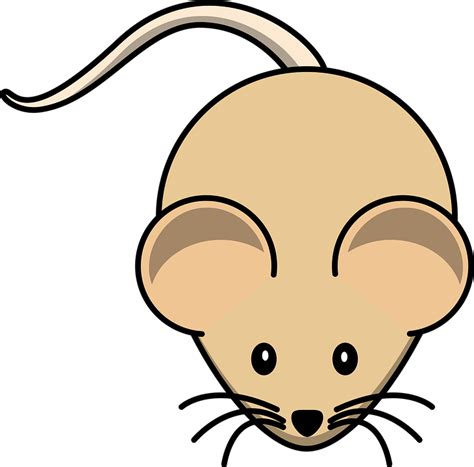 Download Gerbil Mouse Rodent Royalty Free Vector Graphic Pixabay
