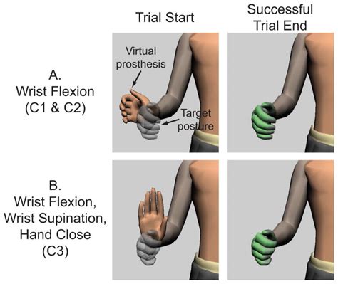 Target Achievement Control Test Evaluating Real Time Myoelectric Pattern Recognition Control Of