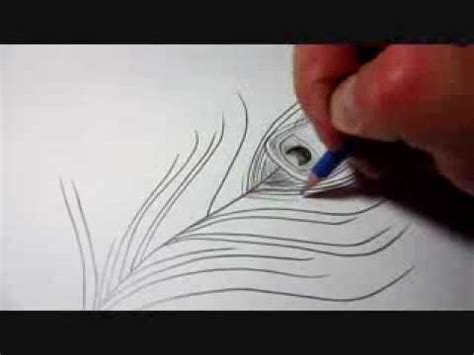 How To Draw A Peacock Feather YouTube