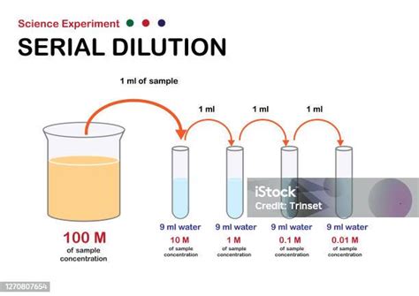 과학적 실험 다이어그램은 샘플 용액의 농도 감소를 위한 직렬 희석의 개념을 보여줍니다 희석에 대한 스톡 벡터 아트 및 기타 이미지 희석 용해됨 일러스트레이션 Istock