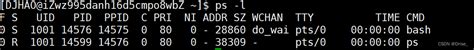 linux进程详解 linux进程信息保存在哪里 csdn博客