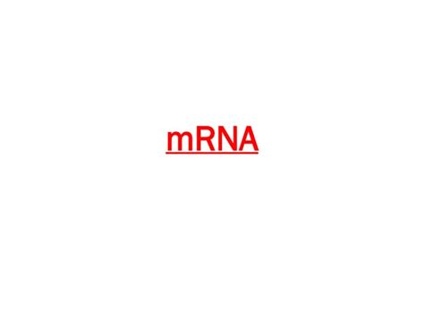 Mrna And Its Description Procedure Function Pptx