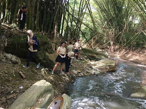 The Group 4 Project Bringing The Ibdp Sciences Together