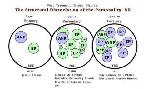 Structural Dissociation Of The Personality