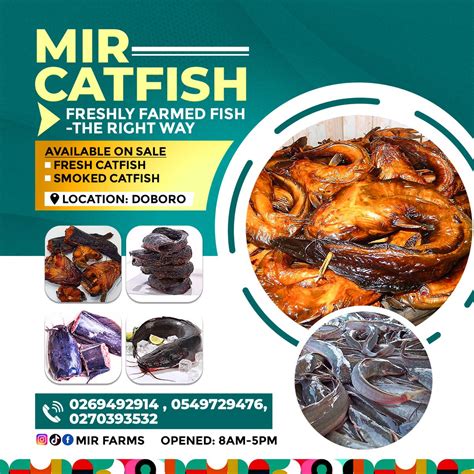 Catfish Flyer Design
