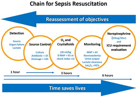 Differences In Hypotensive Vs Non Hypotensive Sepsis Management In The