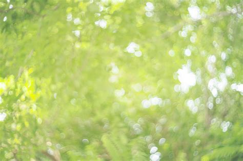 열대 자연 녹색 보케 태양 빛 플레어의 공간을 복사하고 잎 추상적 인 질감 배경을 흐리게합니다 생태 및 환경 개념 빈티지 톤 필터 색상 스타일입니다 0명에 대한 스톡 사진