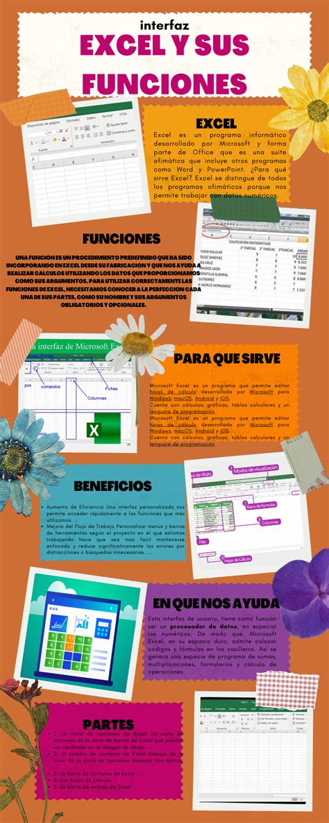 Infografia De La Interfaz De Excel Y Sus Funciones