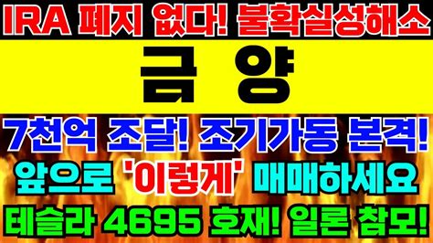금양 주가전망 🚨긴급속보🚨ira 폐지 없다 불확실성해소 7천억 자금 조달 공장 조기가동 본격 앞으로 이렇게 매매 테슬라 4695 호재 일론 경제참모 2