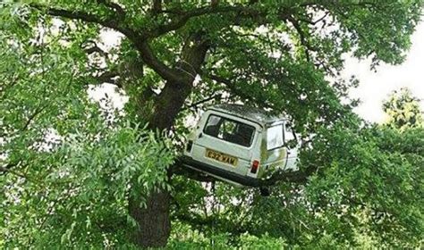 ეს როგორ უნდა მომხდარიყო უცნაური და ძნელად ასახსნელი ფოტოები