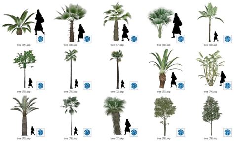 Free Sketchup Trees Model Download Free Sketchup Trees Model Download