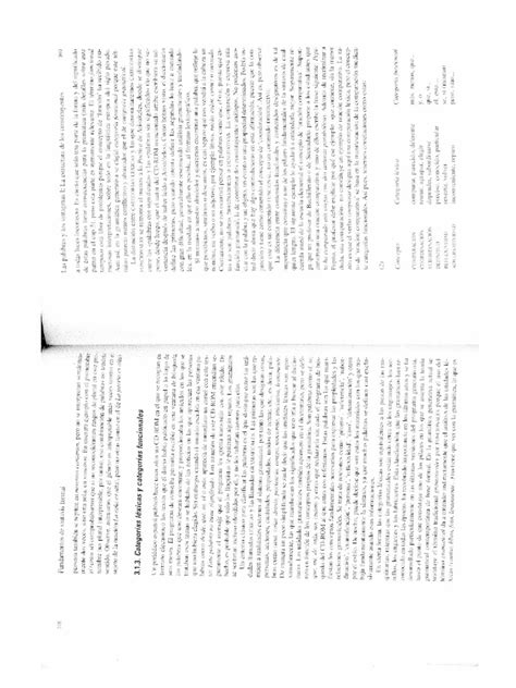 Categorias Lexicas Y Funcionales Pdf