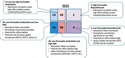 Oral Absorption Characteristics Per Eccs Class Download Scientific Diagram