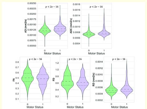 Graphpad Violin Plot At Evelyn Ayala Blog