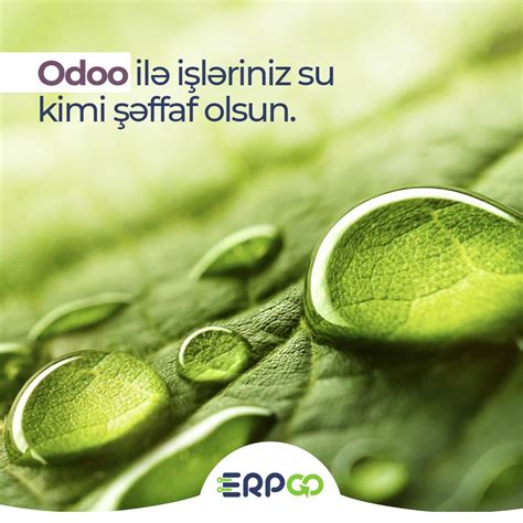 Erpgo On Linkedin Erp
