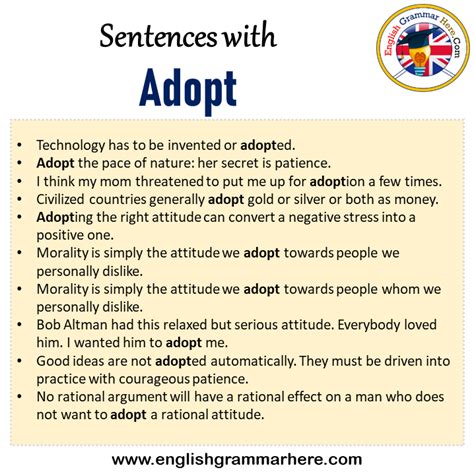Sentences With Adopt Adopt In A Sentence In English Sentences For