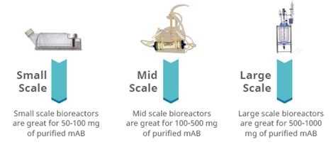 Anti Lambda Light Chain Apc Cyanine7 Caprico Biotechnologies