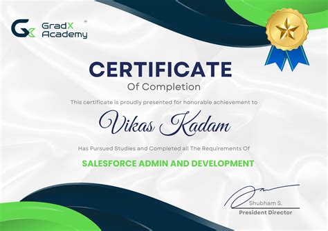 Salesforce Marketing Cloud Sfmc Gradx Academy