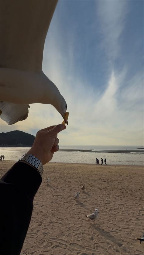 스레드 초보 도와줘ㅠ🙏🏻 다 같이 스하리 해서 프로젝트 달성해보자☺️ 난 뒷삭 귀찮아서 못해 스치기만 해도 스하리 ️ 이 글을 보는 모두의 하루가 행복해져라😆 스하리