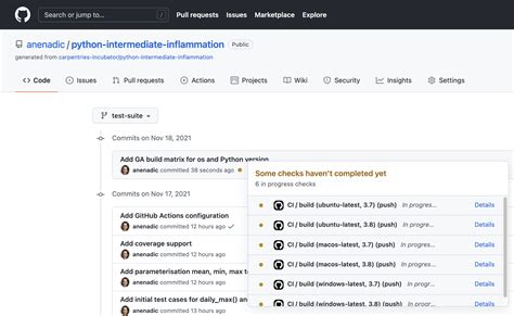 continuous integration for automated testing intermediate research software development