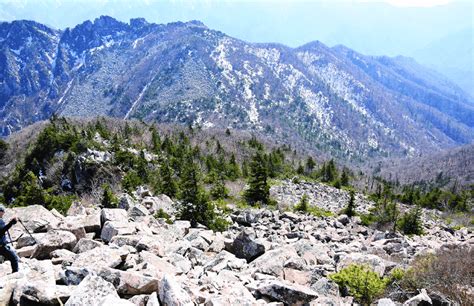 Block fields on Hwangcholbong Photo P Migoń Download Scientific
