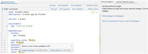 Flutter Storm Jetbrains