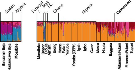 Structure Plot Of Ancestral Allele Clusters Aac For Sampled