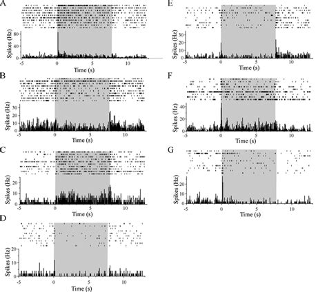 Representative Examples Of Seven Different Firing Patterns Elicited By Download Scientific
